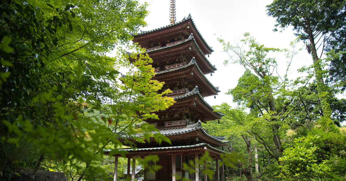 Kaijyusenji Temple | Sightseeing spots in Kyoto | Sparkle Travel