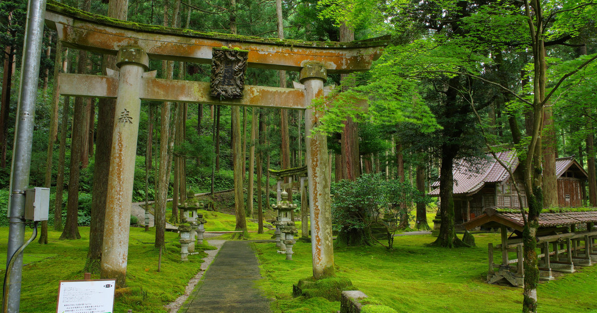 Forest of Wisdom (Moss Village) | Sightseeing spots in Ishikawa ...