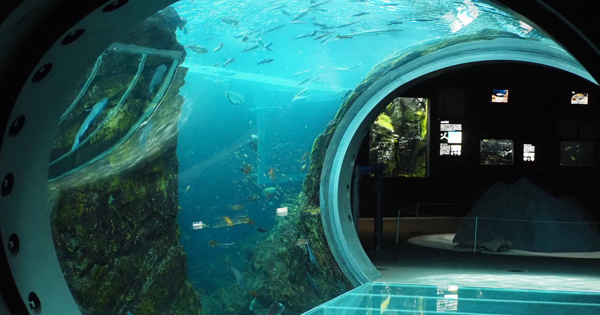 Joetsu City Aquarium Umigatari | Sightseeing spots in Niigata | Sparkle ...