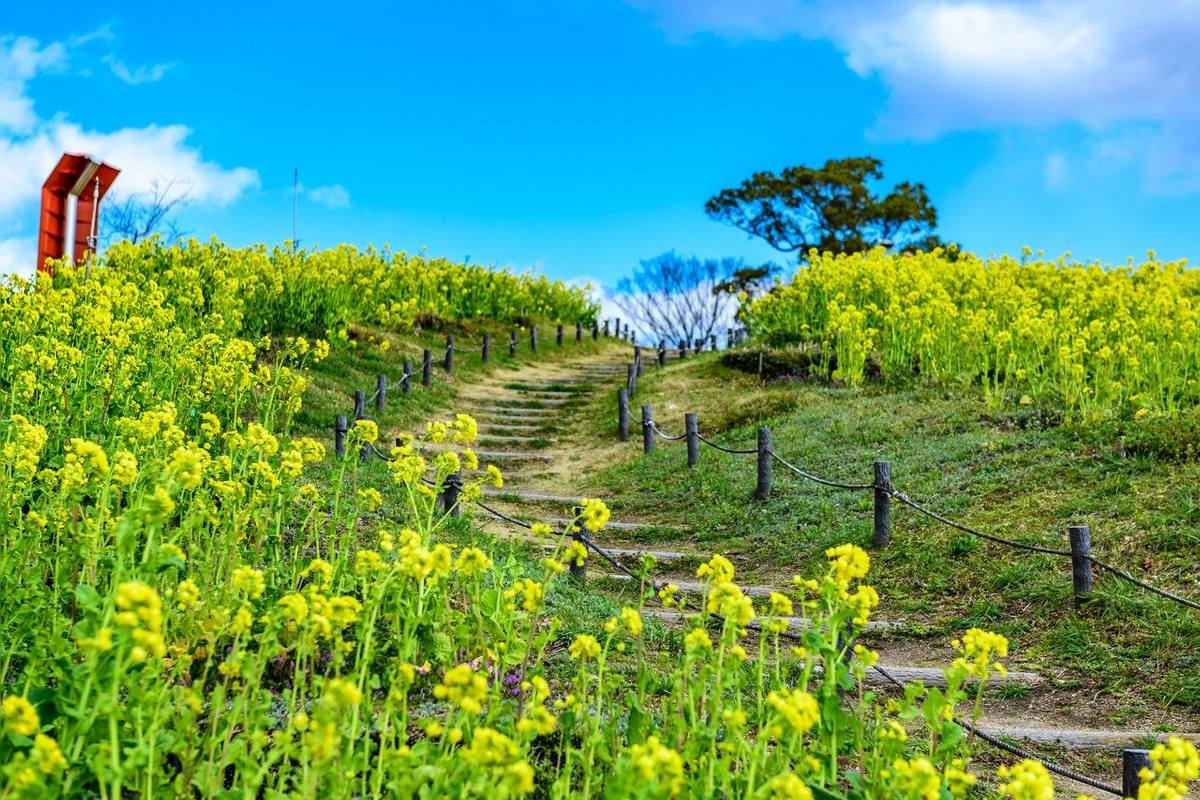 Kobe General Sports Park | Sightseeing spots in Hyogo | Sparkle Travel