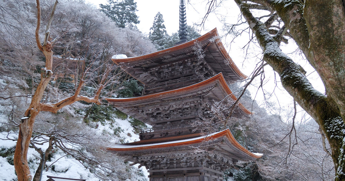 金剛院 | 京都府の観光地 | Sparkle Travel