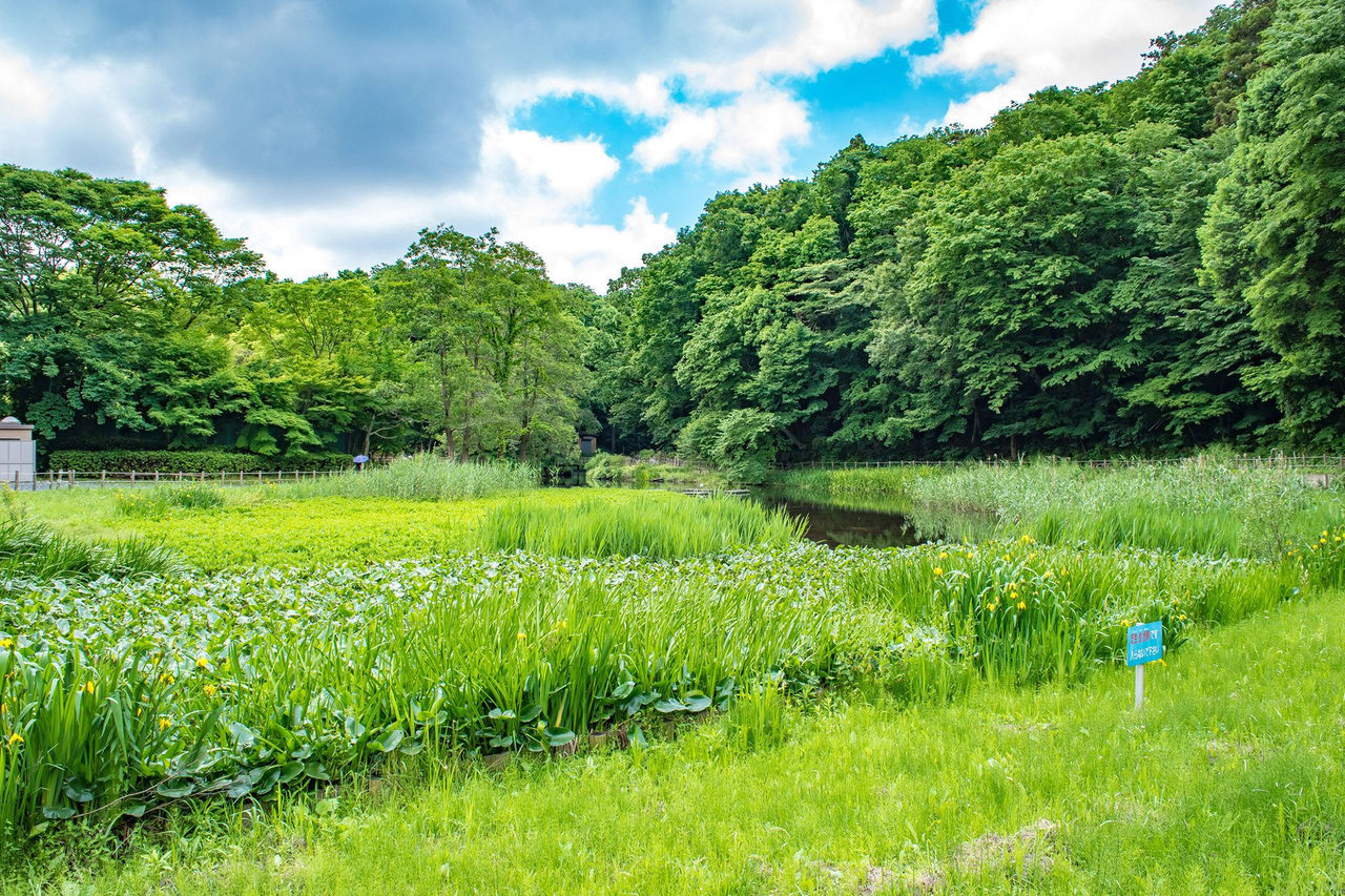 Ichikawa City Zoo and Botanical Garden | Sightseeing spots in Chiba ...