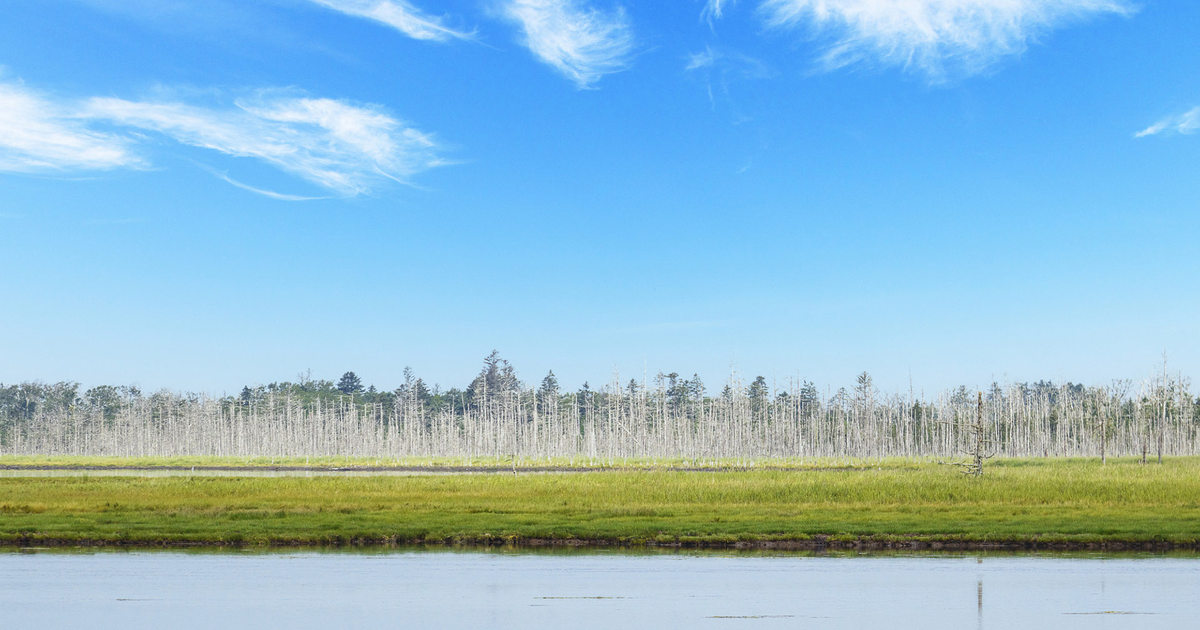 Lake Furen (Furenko) | Sightseeing spots in Hokkaido | Sparkle Travel